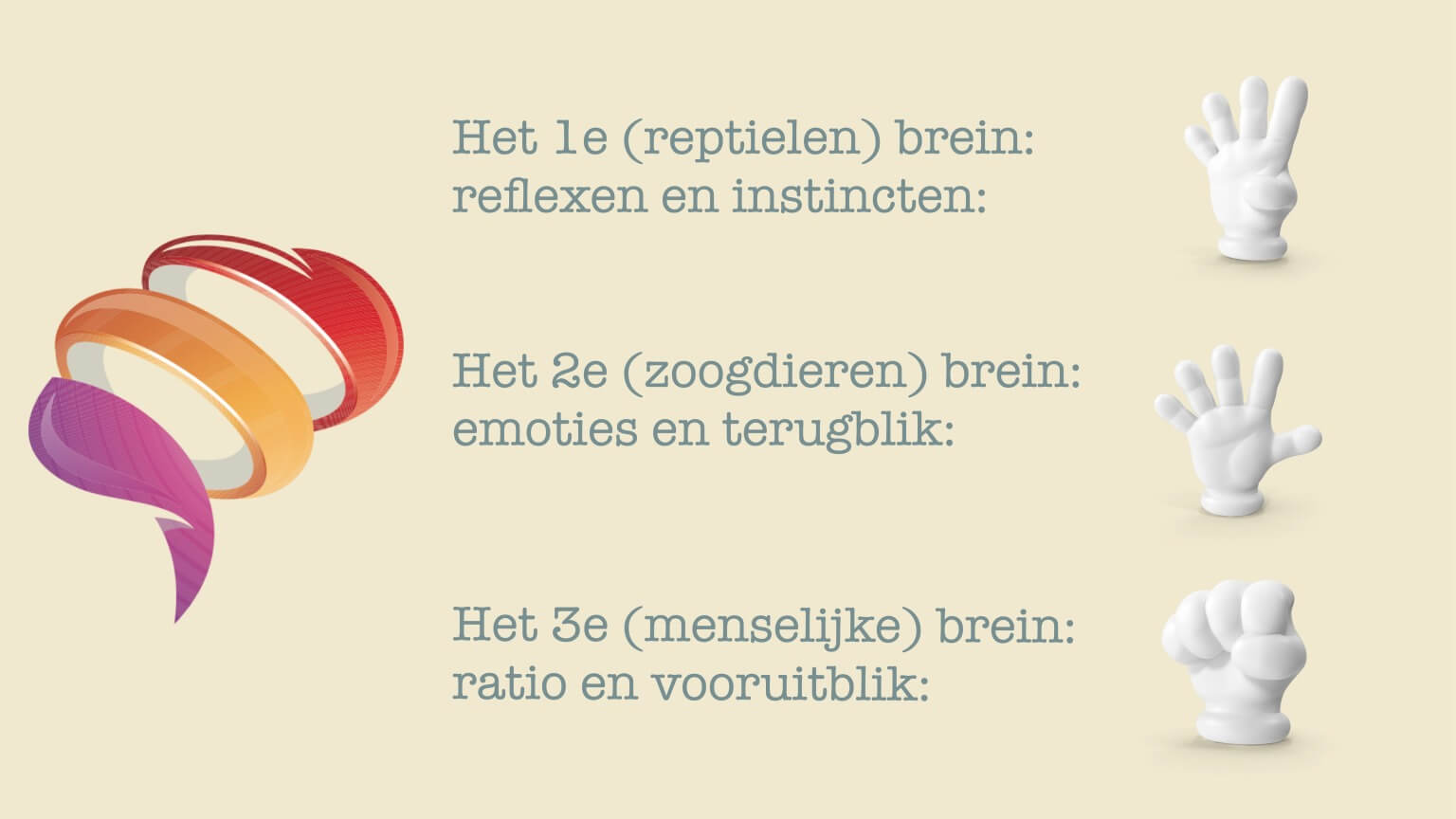 Weet jij hoe jouw brein werkt bij stress? → Brainjockey.com